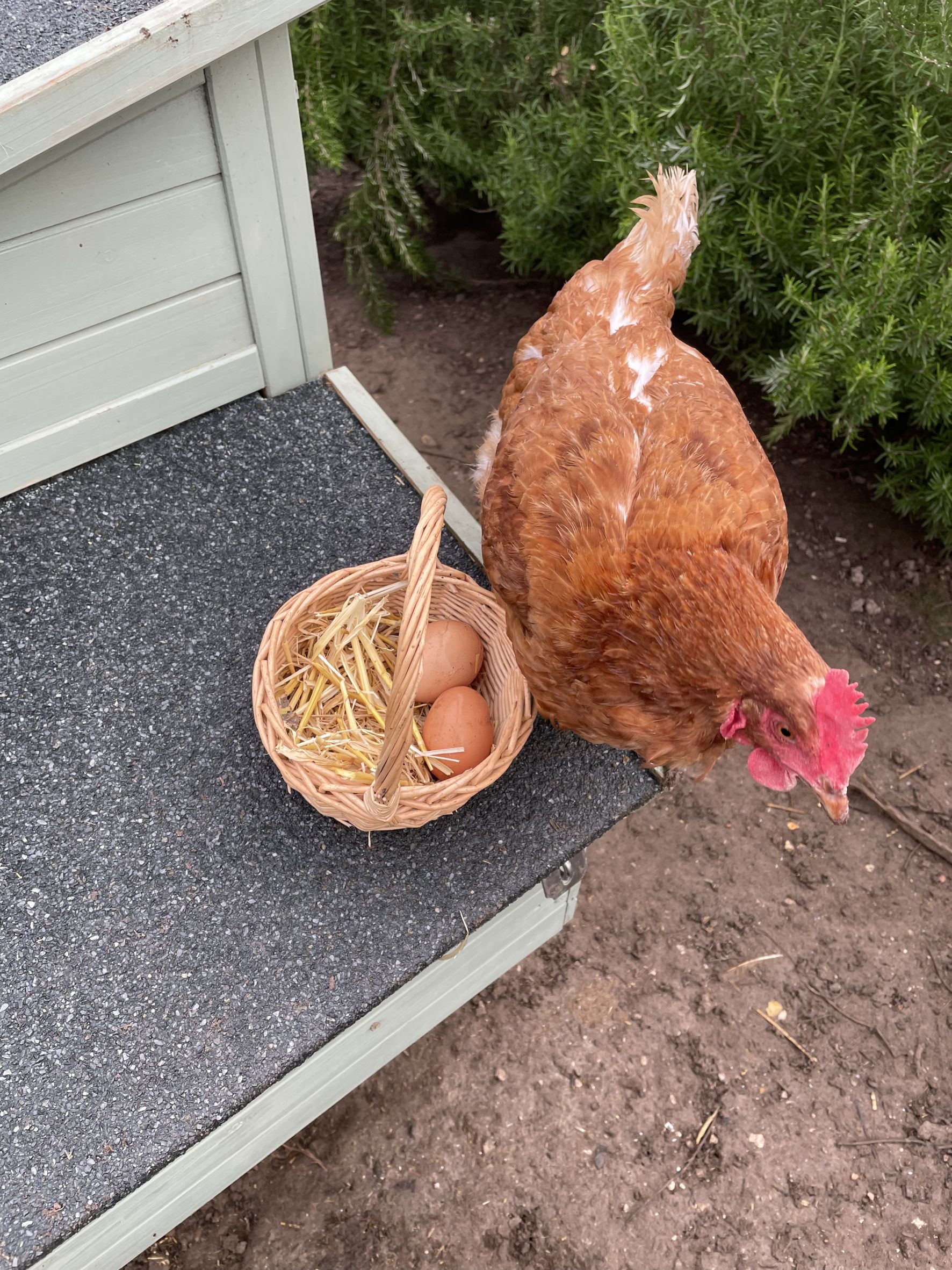 Sarah Asbury, Coproduction Champion